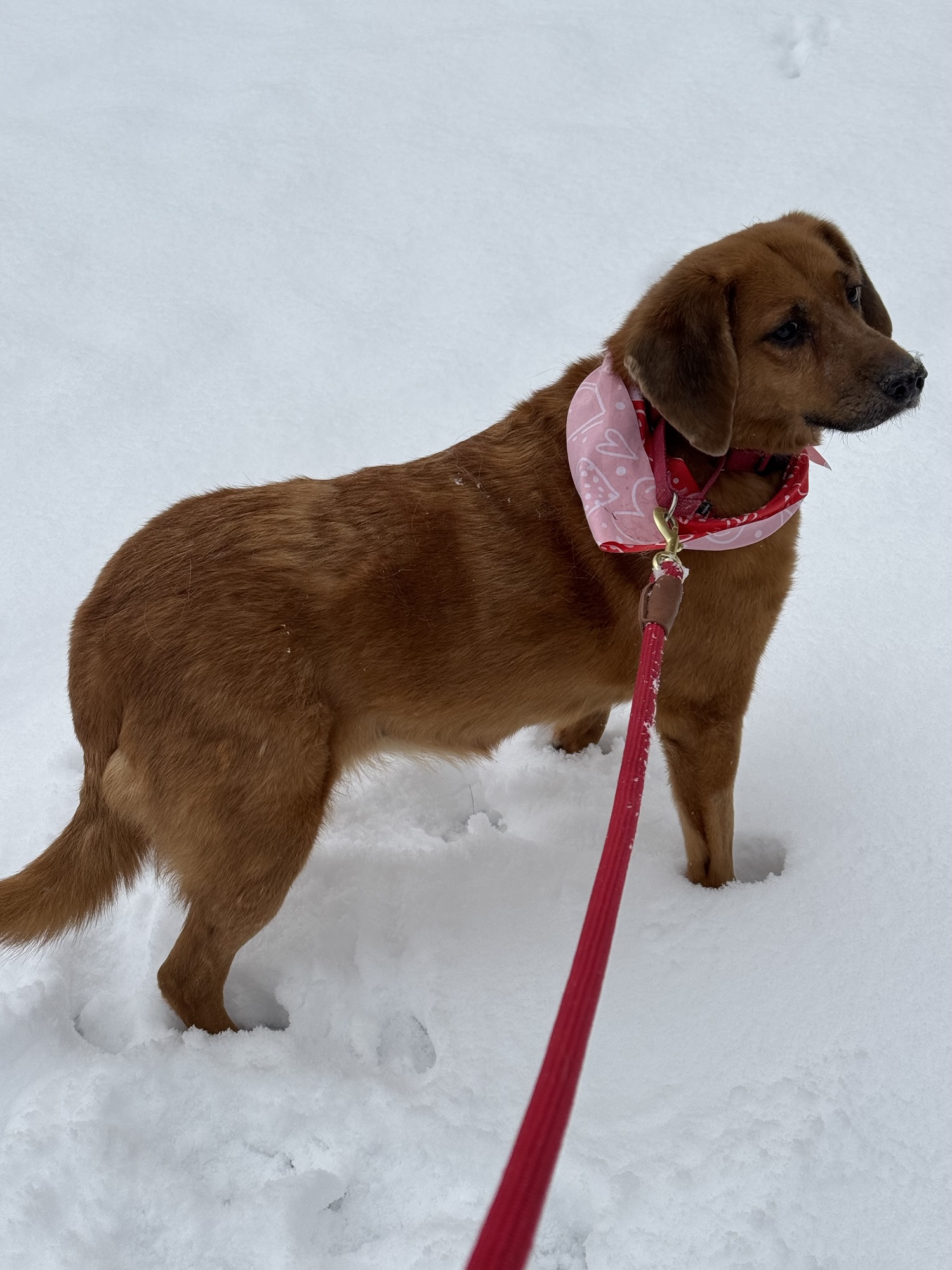 A Year of Musing: January/February – Musing About Eating and Boozing